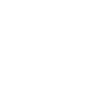 AUTOSAR and OEM Bootloader Solutions for Automotive Systems